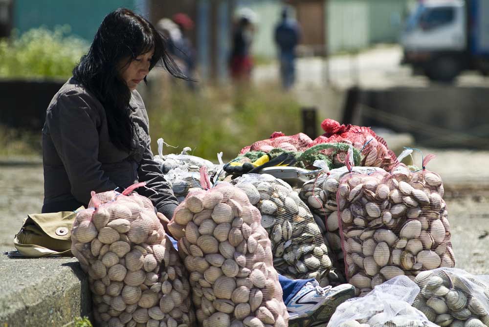 The Spanish Conquest In Chile History and Timeline Overview - Major ...