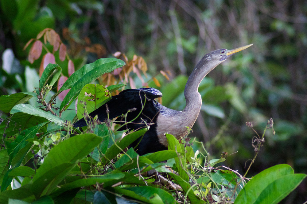 Tourist attractions in Costa Rica - famous landmarks, things to do ...