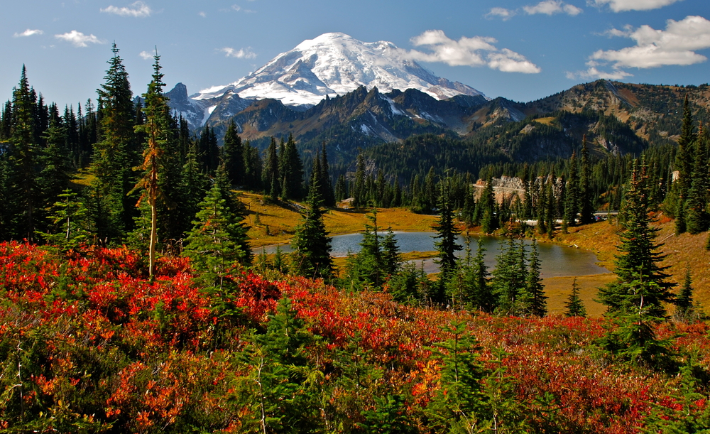 Where to go in September, October and November 2019 | Insight Guides Blog