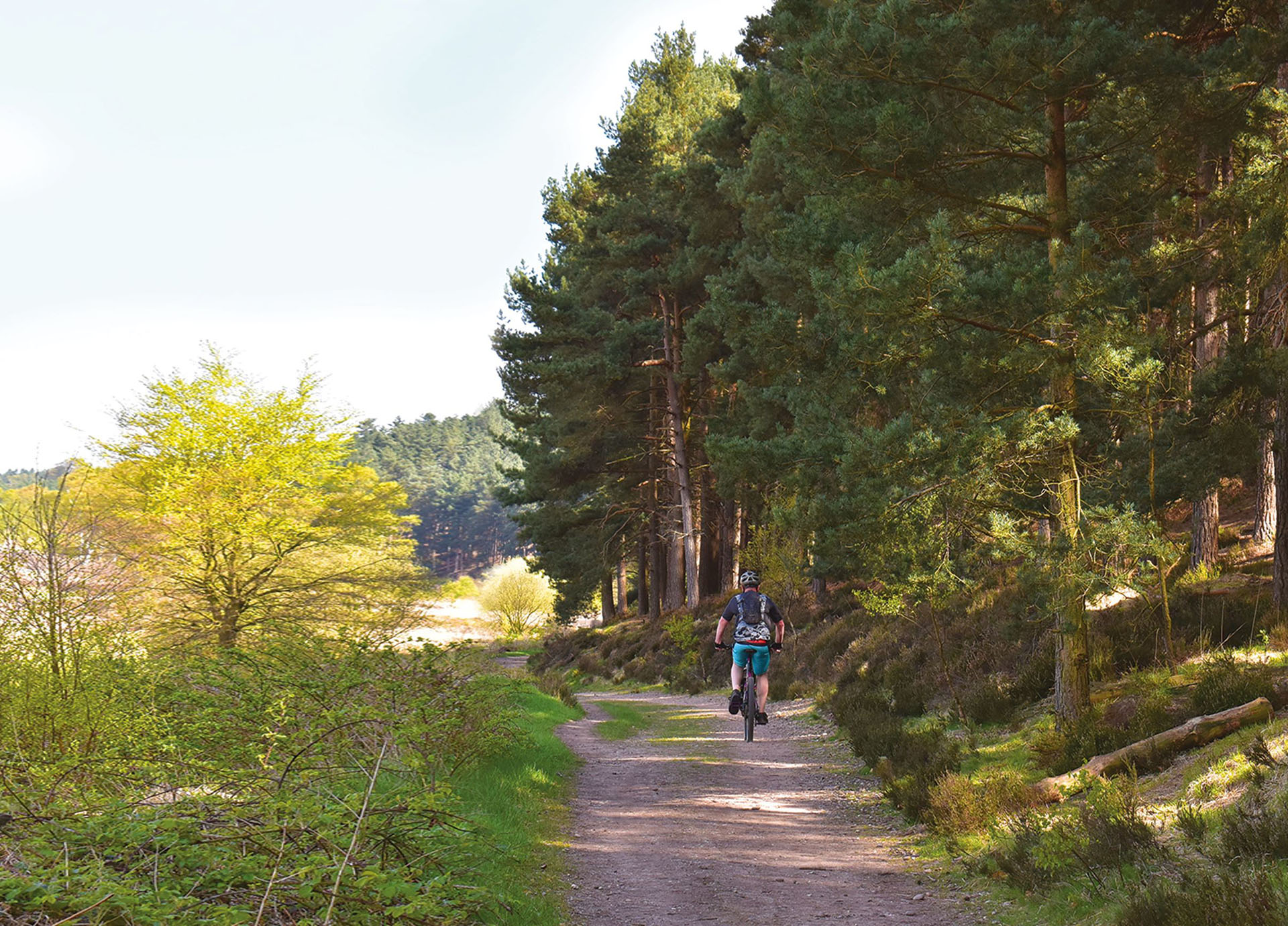 10 charming walks and parks in England’s West Midlands | Insight Guides ...