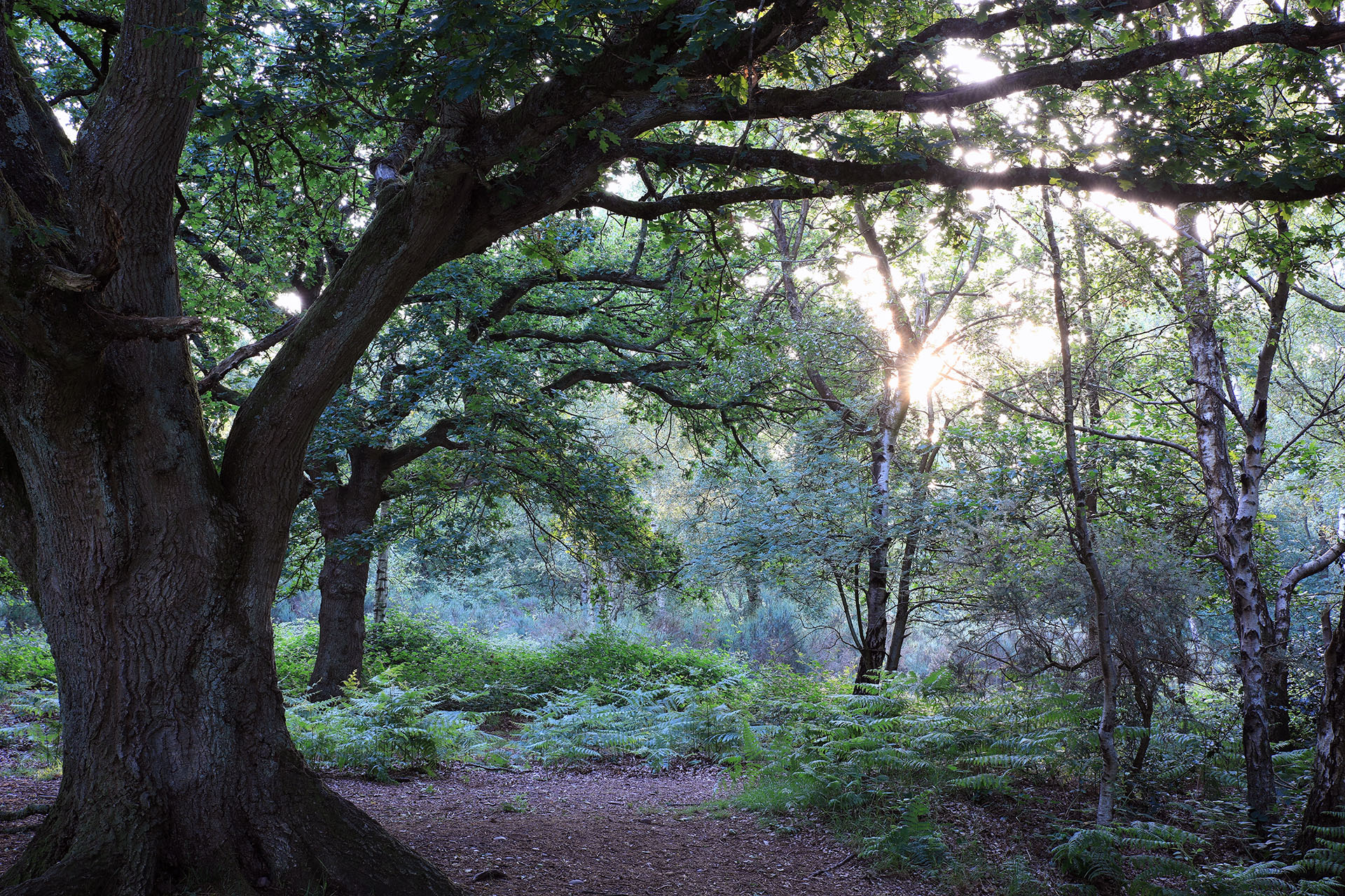 10 charming walks and parks in England’s West Midlands | Insight Guides ...