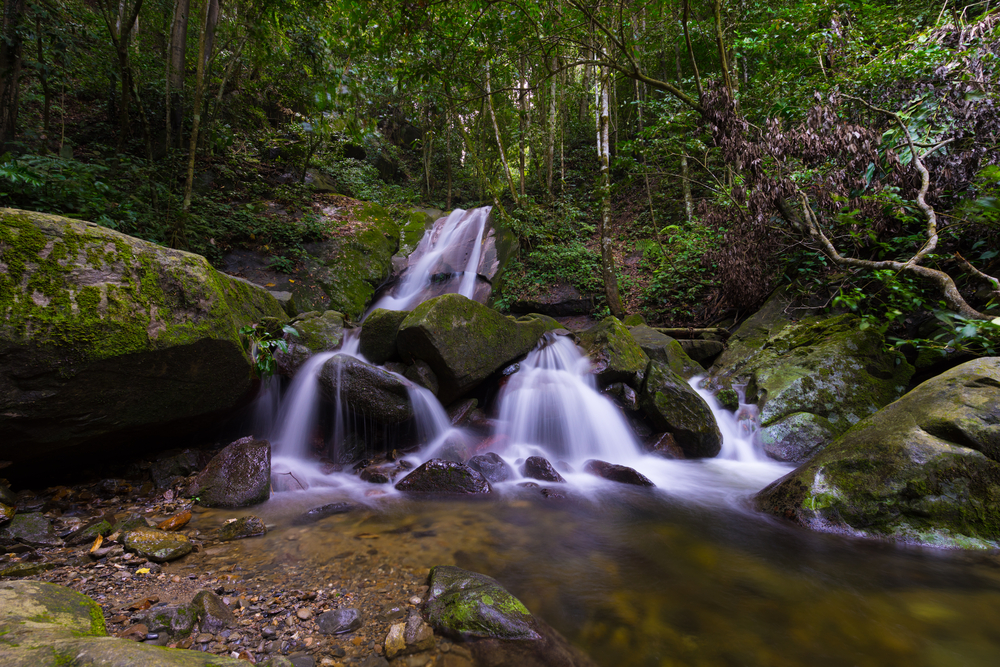 7 must-do Malaysian experiences for nature lovers | Insight Guides Blog