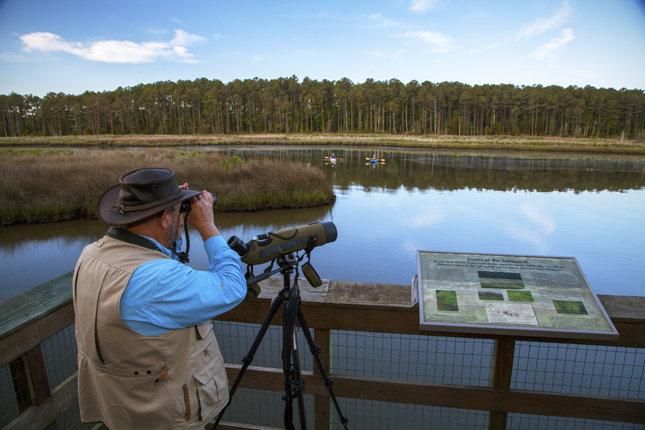 Tripping Through Virginia's Tidewater | Insight Guides Blog