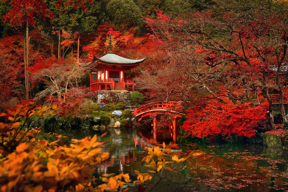 7 gorgeous places for an autumn holiday | Insight Guides Blog