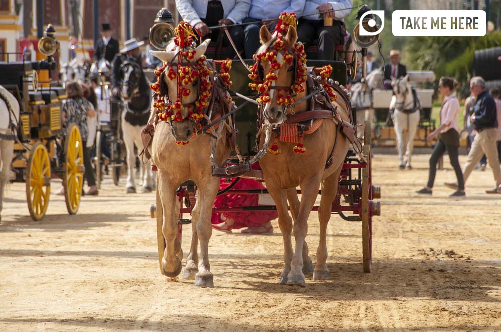 Spanish festivals: 5 unmissable fiestas in Andalucía | Insight Guides Blog