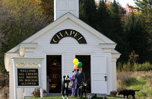 Going to the Dogs in St. Johnsbury, VT | Insight Guides Blog