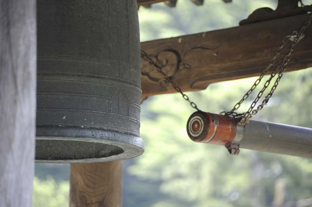 10 weird New Year's Eve traditions from around the world | Insight ...