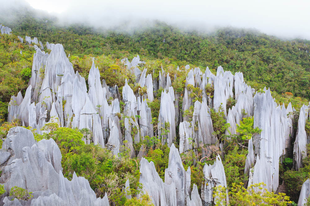 Top 6 national parks in Sabah and Sarawak | Insight Guides Blog