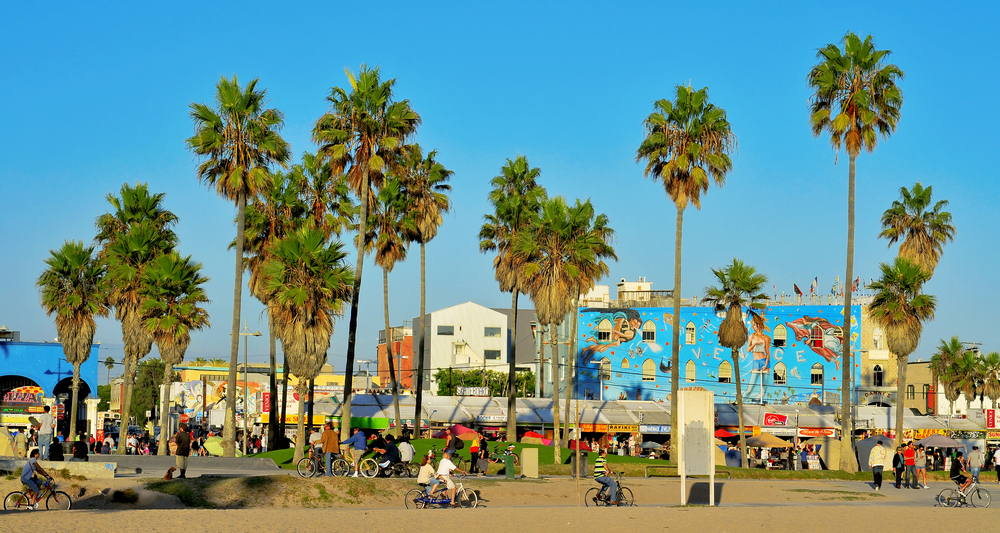 California Dreamin' – LA's top beaches | Insight Guides Blog