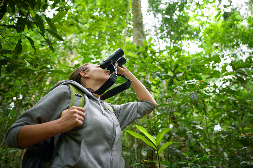 12 tips to fully enjoy the rainforest | Insight Guides Blog