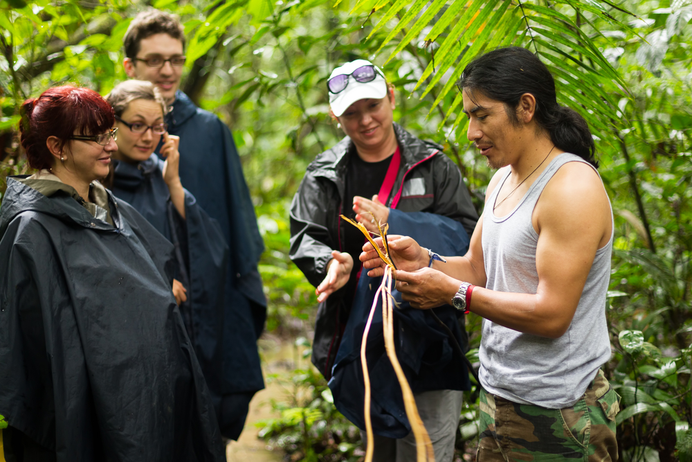12 tips to fully enjoy the rainforest | Insight Guides Blog