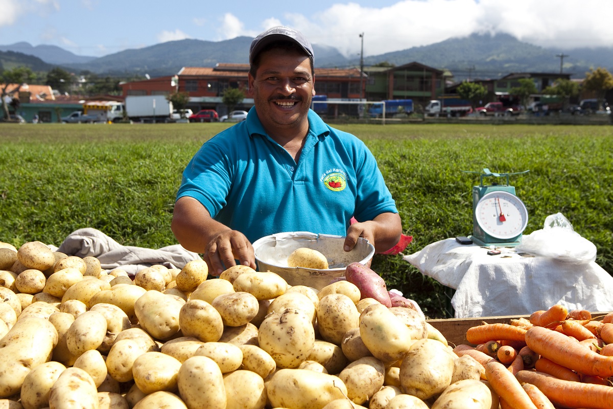 In depth: Tico Cooking | Insight Guides Blog