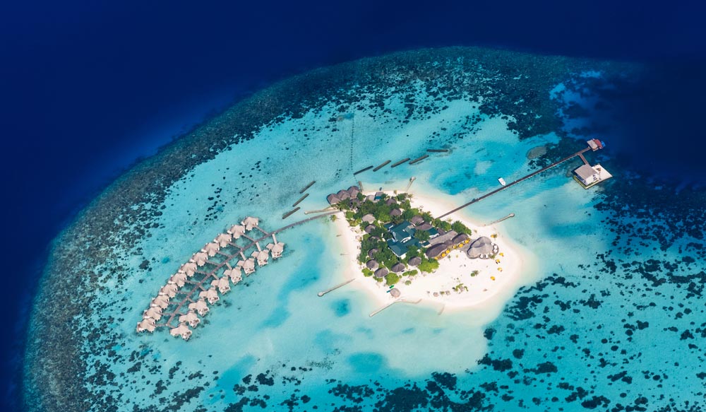 Top five dive sites in the Maldives | Insight Guides Blog