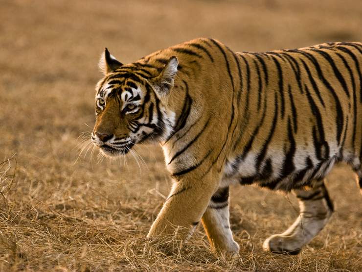 Riding The Rails cultural features - Famous Cultural Features in Riding ...