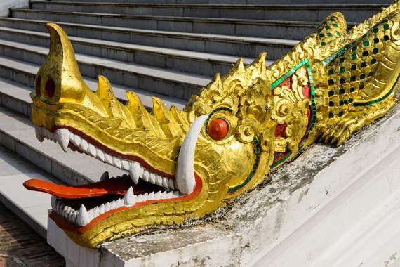 Laos Elephants & Jungle | Insight Guides