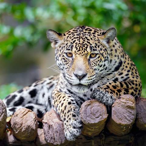 Mexico Itinerary Mexico's Mayan Trail | Holidays by Insight Guides ...