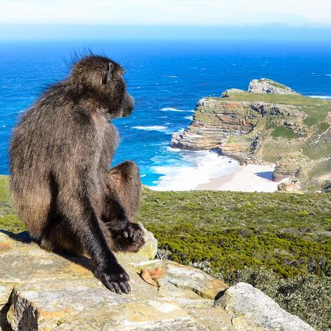 South Africa Itinerary Cape Amazing: Cape Town Explored | Holidays by ...