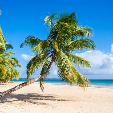 Travel to Île Sainte Marie & Antananarivo on an 11-day Madagascar tour