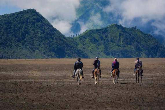 Java Discovery Insight Guides