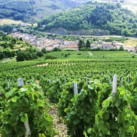 From Paris to Provence: Perfection Personified | Travel first-class ...