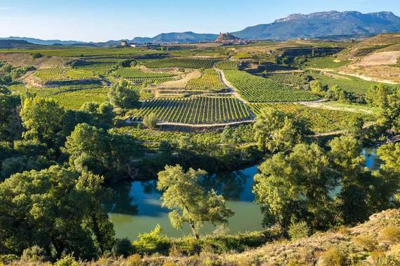 A Luxury Journey through the Vineyards of La Rioja | Insight Guides