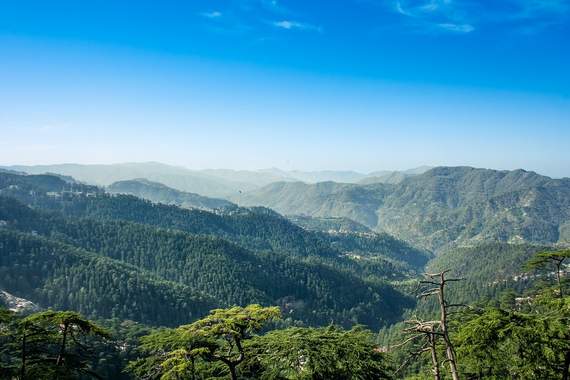 North India Explored: From Delhi to Shimla | Insight Guides