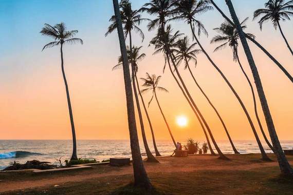 Southern Sri Lanka: Mirissa, Galle and Bentota | Insight Guides