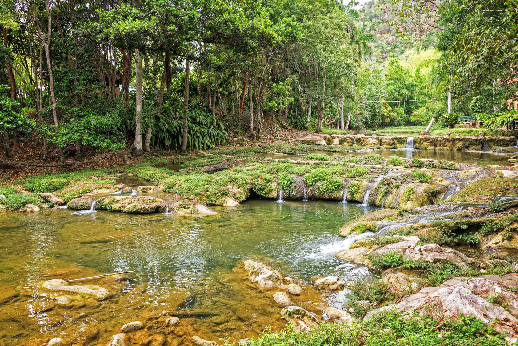 Cuba Local Travel Experts | Rough Guides