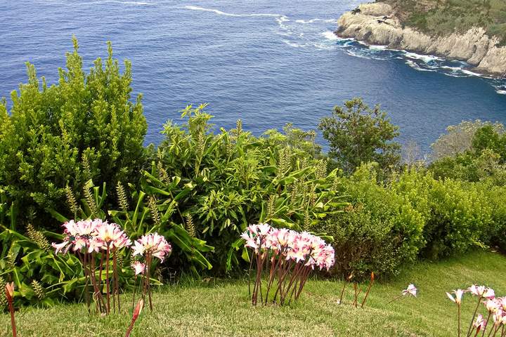 Azores Wild Nature | Insight Guides