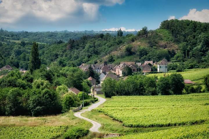 Tasting Eastern France | Insight Guides