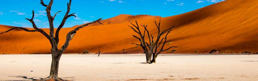 Ultimate Self Drive in Namibia | Insight Guides