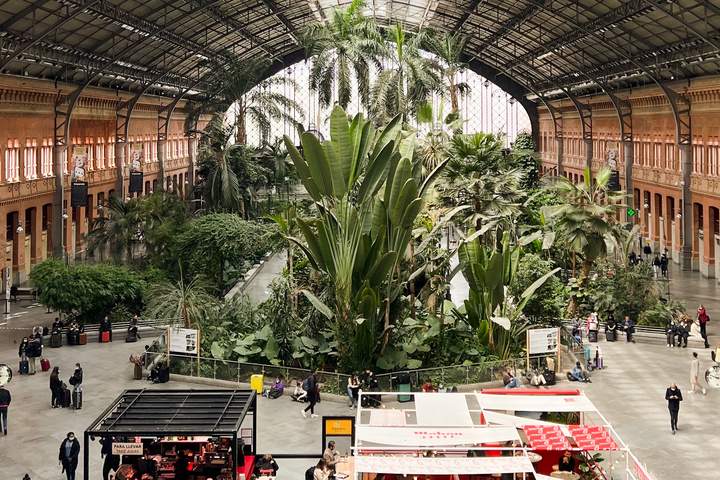 Unique Spain - Cultural Getaway | Insight Guides