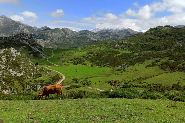 Self Drive in Northern Spain | Insight Guides