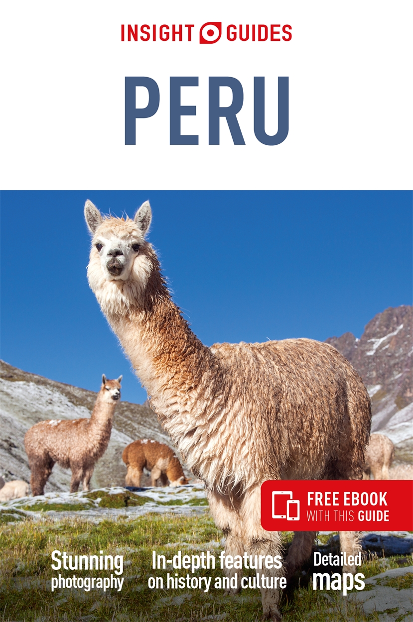 South America Books - buy South America travel Books | Insight Guides