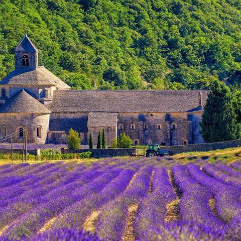 Colors of Provence | Insight Guides