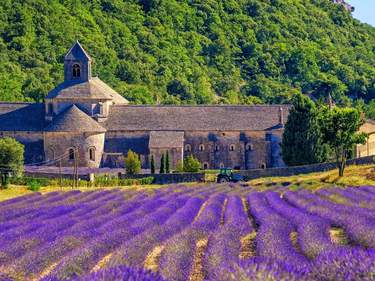 Colors of Provence | Insight Guides