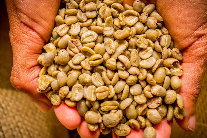 Unforgettable Colombia - cities, coffee and islands | Insight Guides