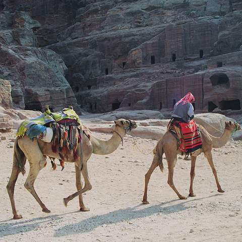 A Bedouin Experience | Insight Guides