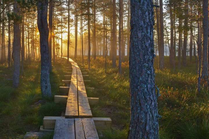 Ultimate Baltics | Insight Guides