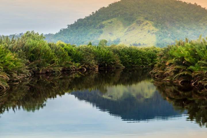 Wildlife Spotting in Borneo | Insight Guides