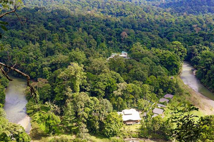 Rainforest Adventure in Borneo | Insight Guides