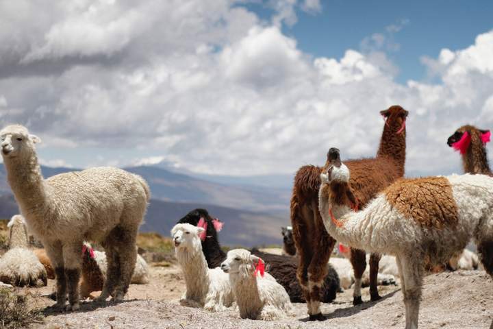 The "new" Machu Picchu - Chachapoyas | Insight Guides