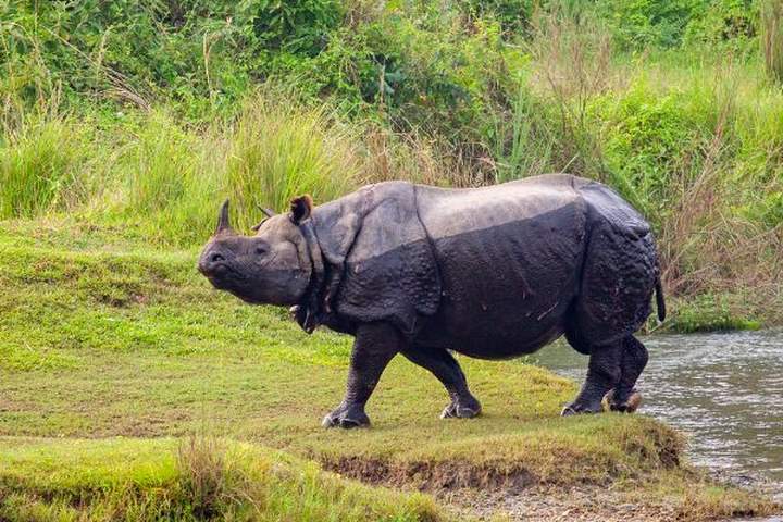 Silver Triangle Nepal Tour | Insight Guides