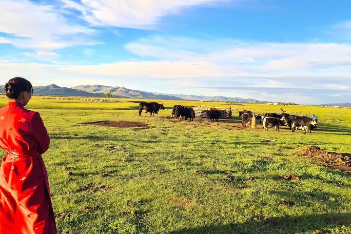 Danshig Naadam & Gobi Tour | Insight Guides
