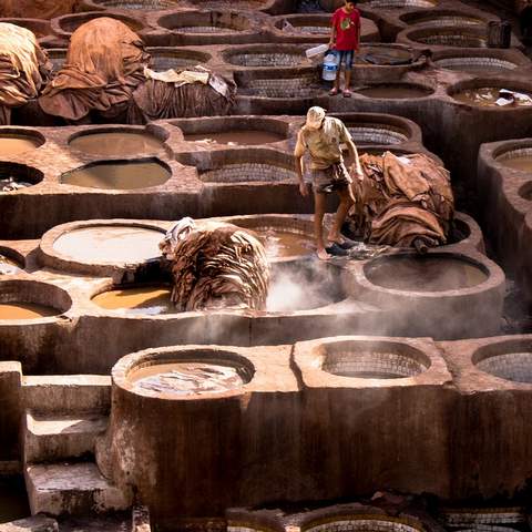 Morocco from Casablanca | Insight Guides