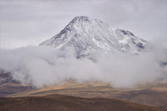 Altiplano Expedition - A wild trip with few tourists | Insight Guides