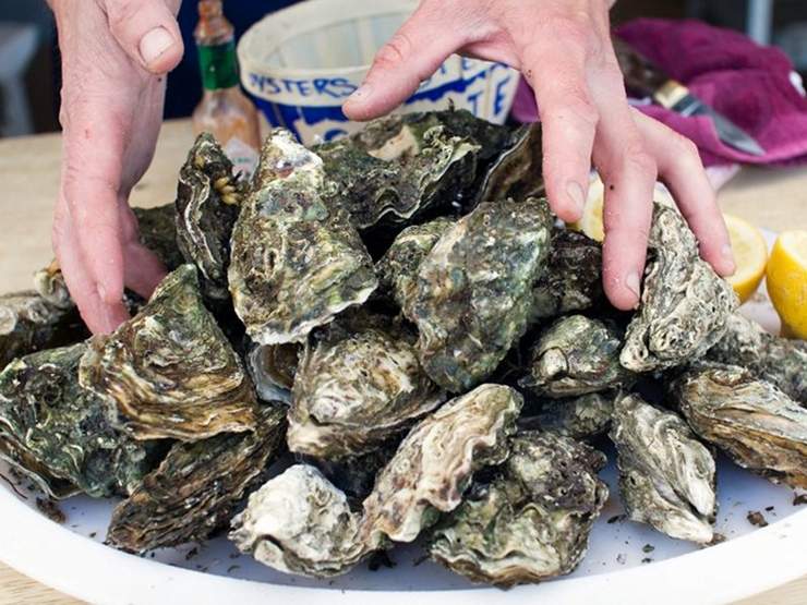 Irish Cuisine cultural features - Famous Cultural Features in Irish ...