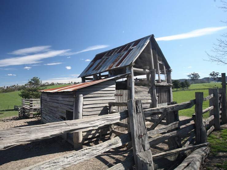 Life In The Australian Bush cultural features - Famous Cultural ...